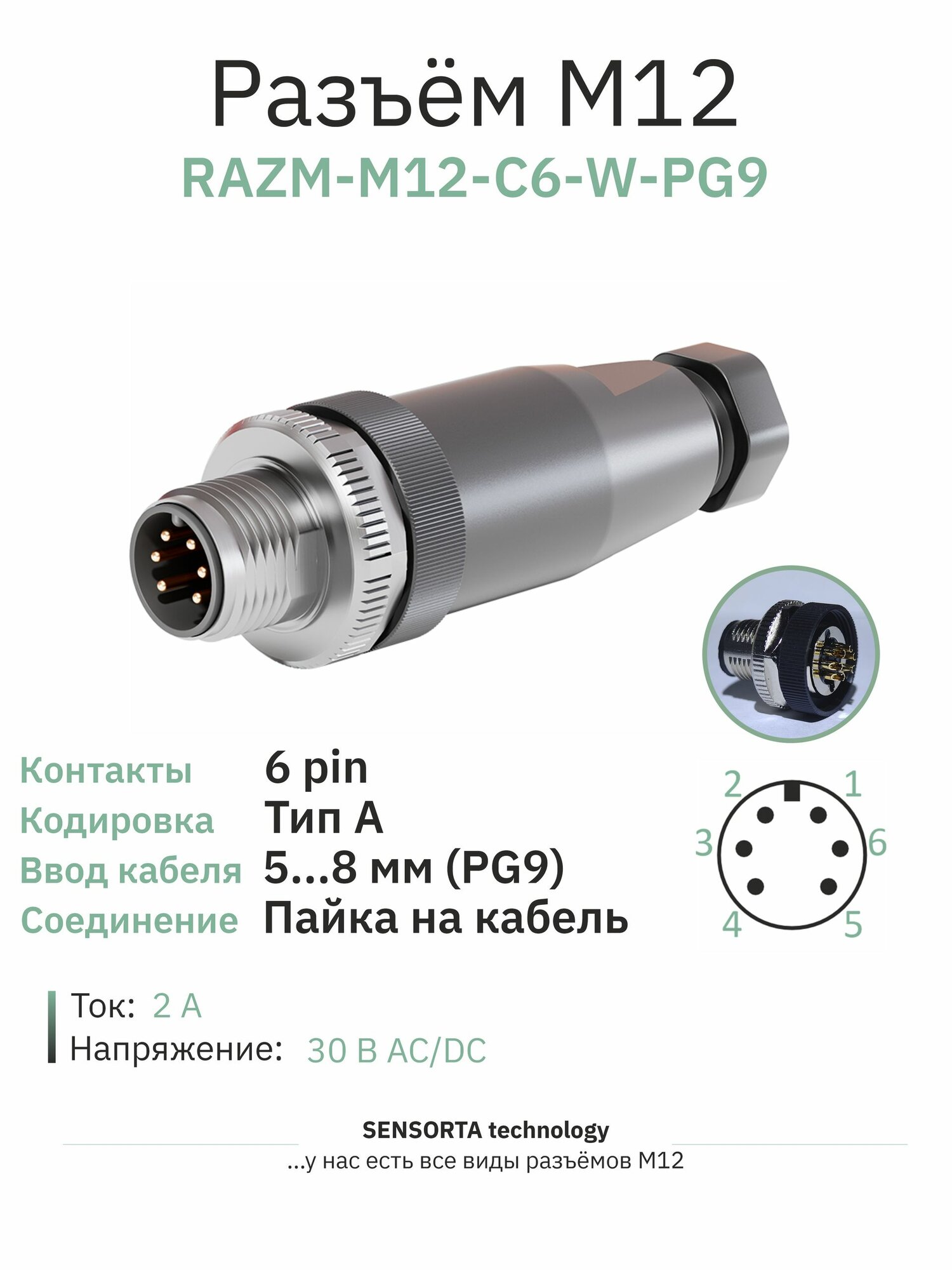 RAZM-M12-C6-W-PG9 разъём М12 6 pin прямой / вилка (папа) / PG9 (5-8 мм диаметр под кабель)