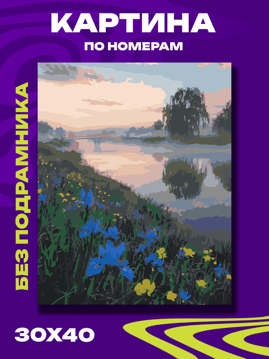 Картина по номерам Дикие ирисы на берегу речки в тумане