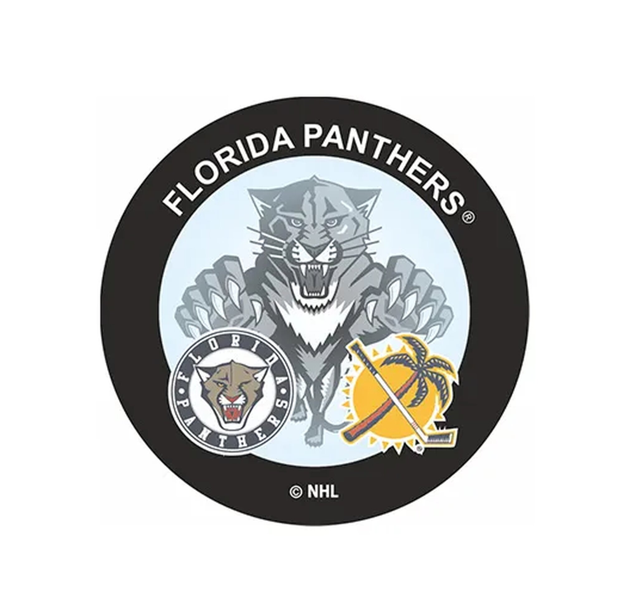 Шайба Rubena три логотипа Florida Panthers, резина, цвет черный
