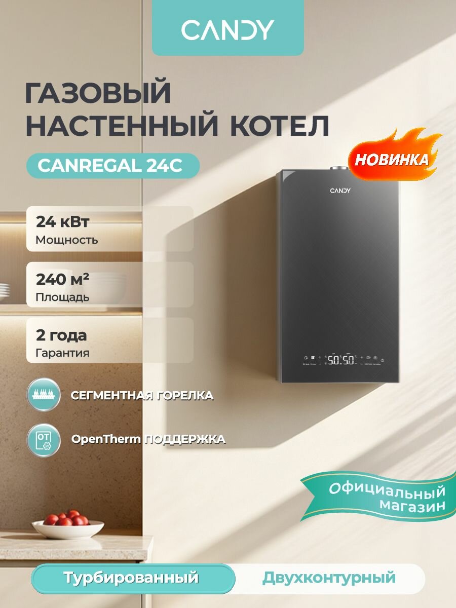 Газовый котел Candy CanRegal CanRegal24C, настенный, двухконтурный, белый, двухкондурнйый, OpenTherm