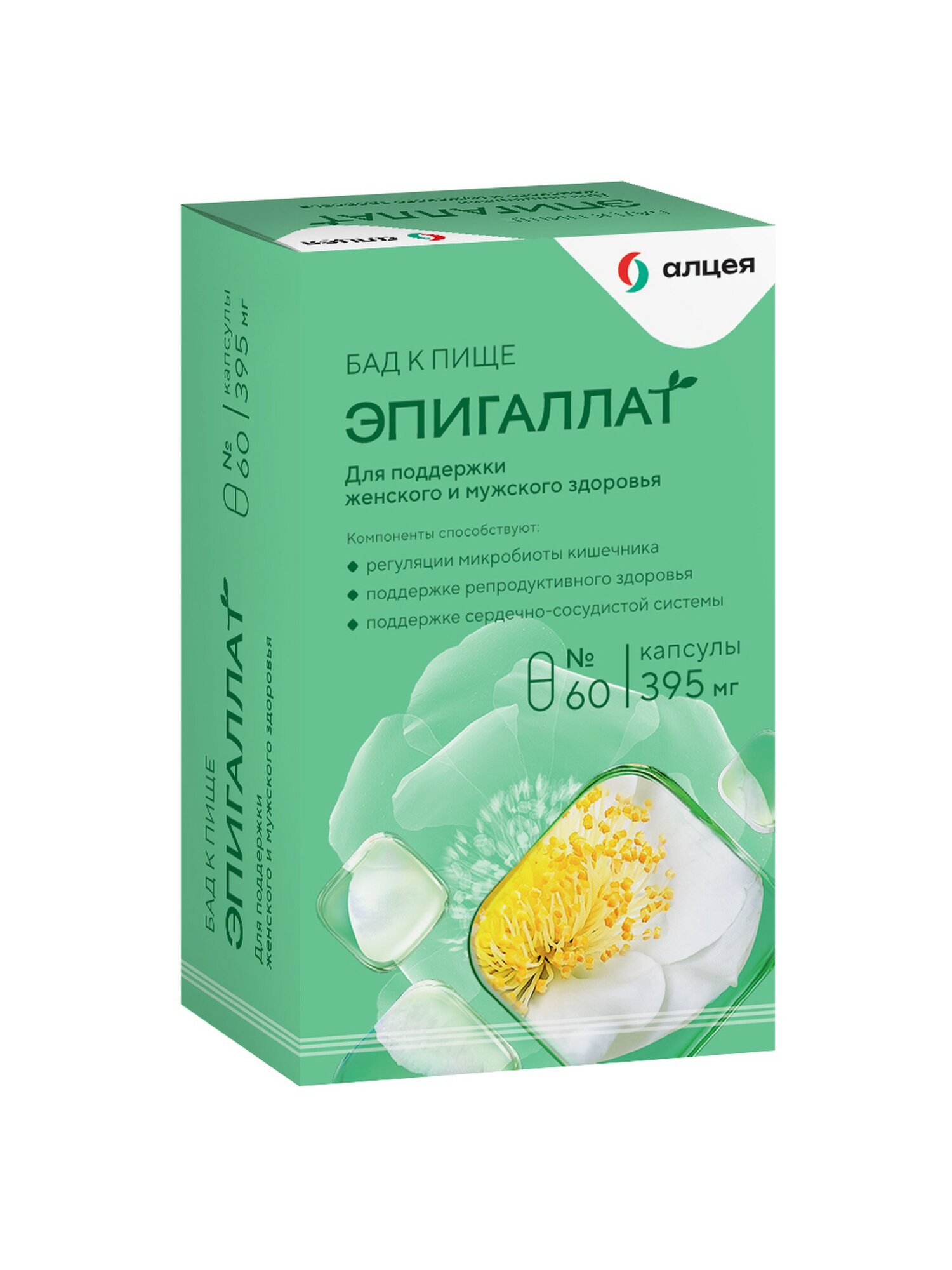 Эпигаллат N60 капс ПО 395МГ — Капсулы массой 395 мг - 60 шт в уп. — фото 1