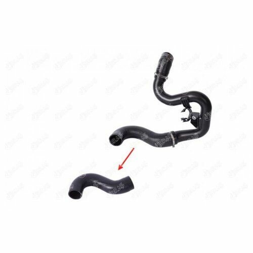 Патрубок интеркулера citroen jumper, relay, citroen jumper, relay, citroen jumper, relay, fiat ducat IBRAS 17809