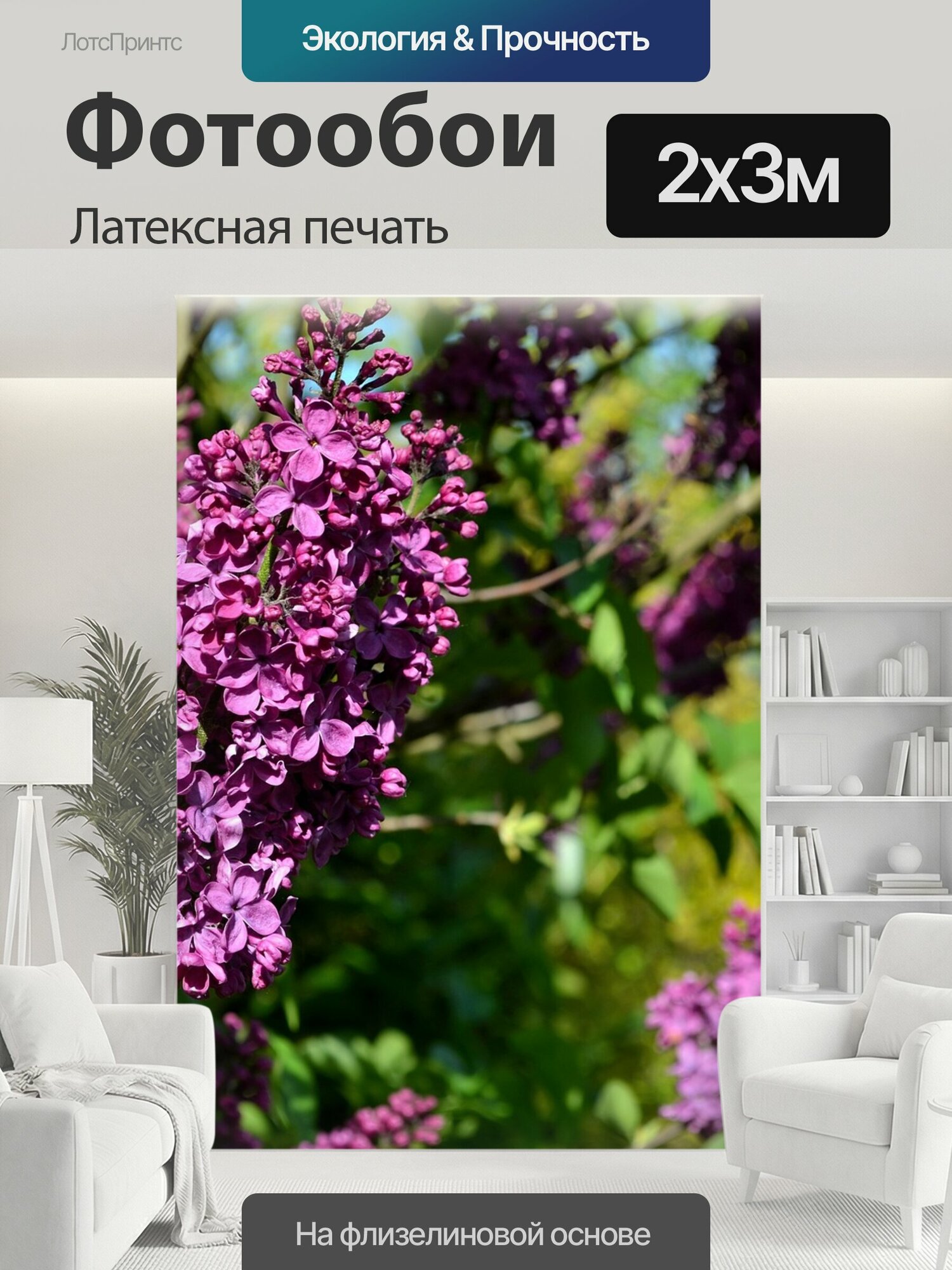 Фотообои моющиеся ударопрочные "Сирень, фиолетовый сирень, цветение сирени" 200x300 см. латексная печать