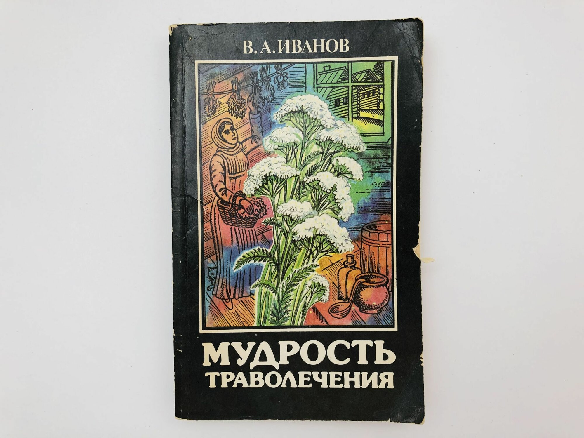 Мудрость траволечения. Советы и рекомендации народного целителя
