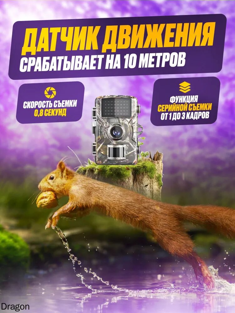 Фотоловушка — фото 1
