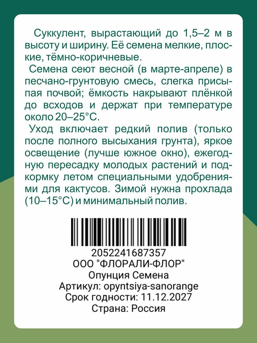 Опунция Семена — фото 1