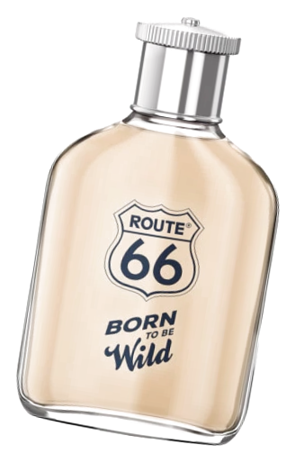 Рут 66 Борн Ту Би Вайлд туалетная вода мужская 100 мл - Route 66 Born To Be Wild