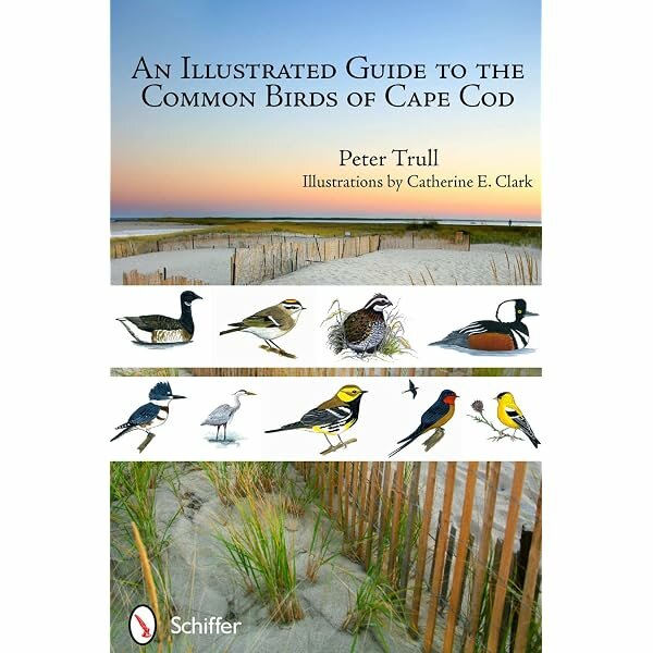 An Illustrated Guide to the Common Birds of Cape Cod，Reprinted paperback book