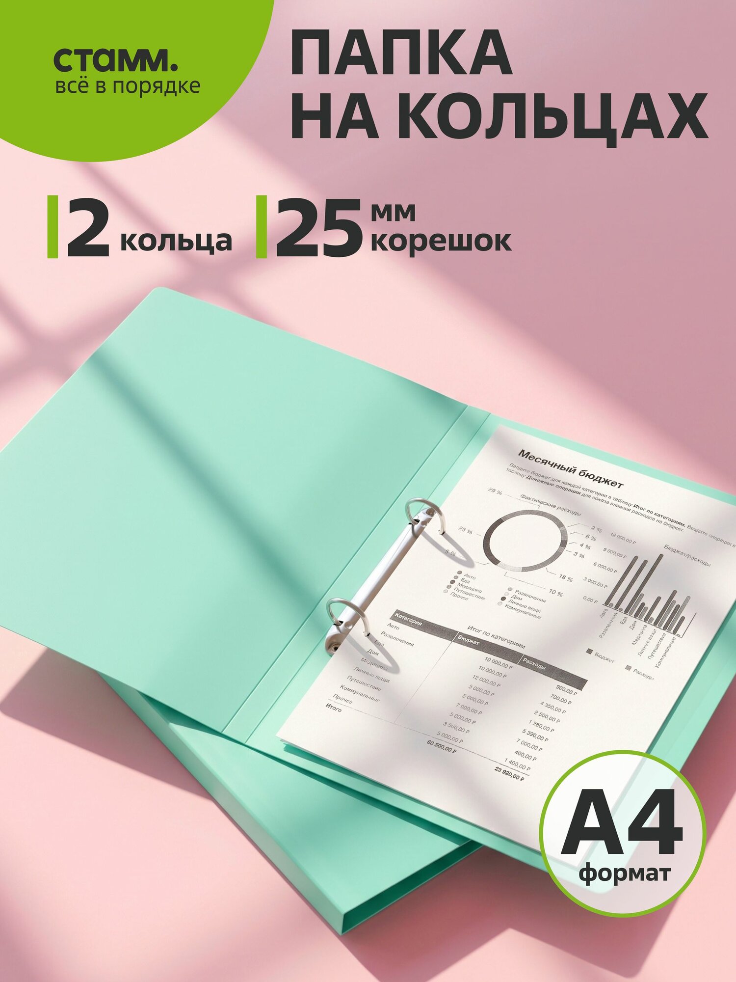 Папка на 2 кольцах А4