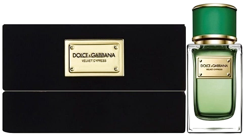 Дольче Габбана Вельвет Кипарис парфюм для женщин и мужчин 50 мл - Dolce & Gabbana Velvet Cypress
