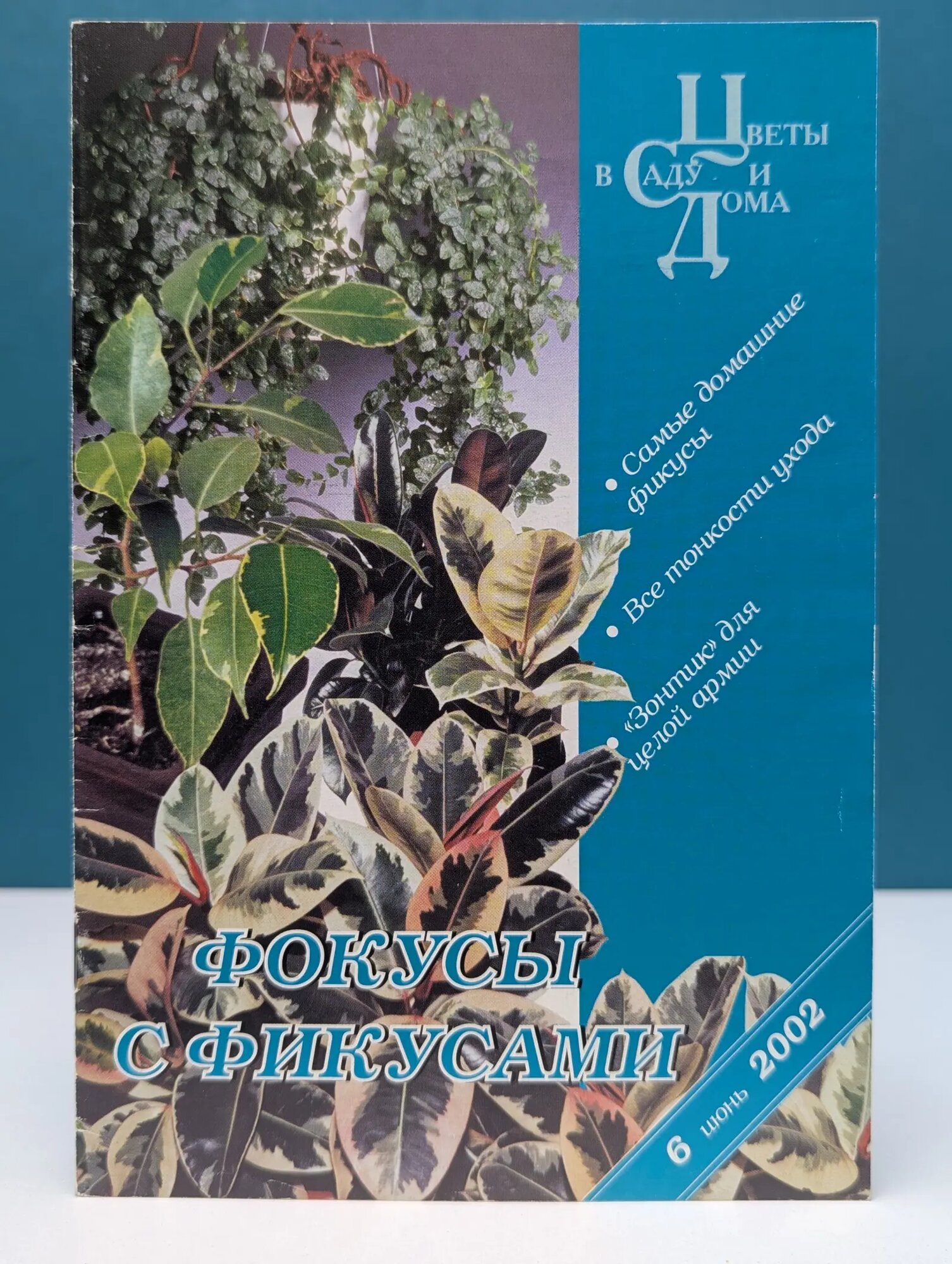Цветы в саду и дома. Выпуск № 6/2002. Фокусы с фикусами Курлович Александр Евгеньевич 2002