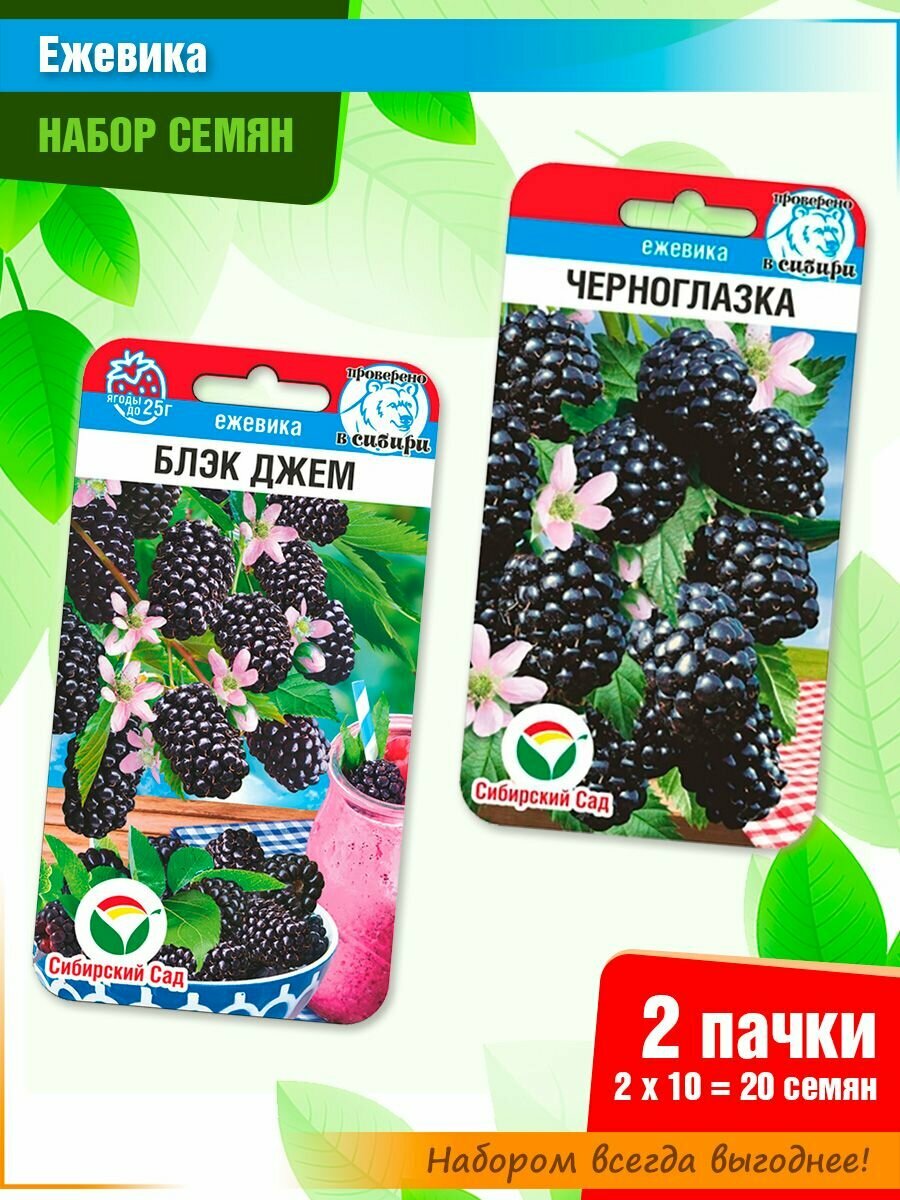 Набор семян урожайных сортов ежевики от компании Сибирский сад (2 пакета)
