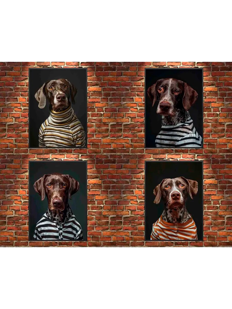 Пойнтер-собака-заключенный, 4 Плаката, 30x21см