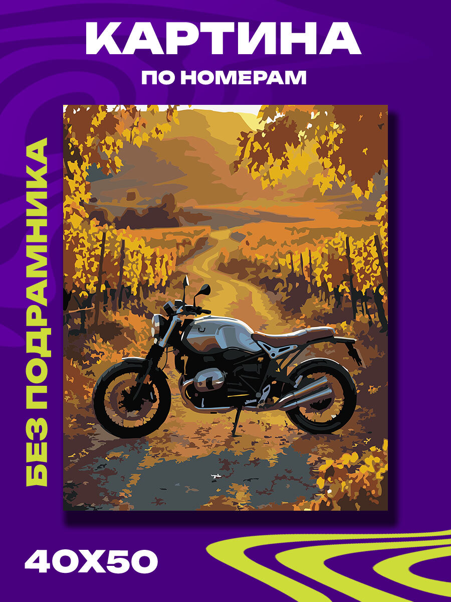 Картина по номерам Янтарная осень BMW R nineT