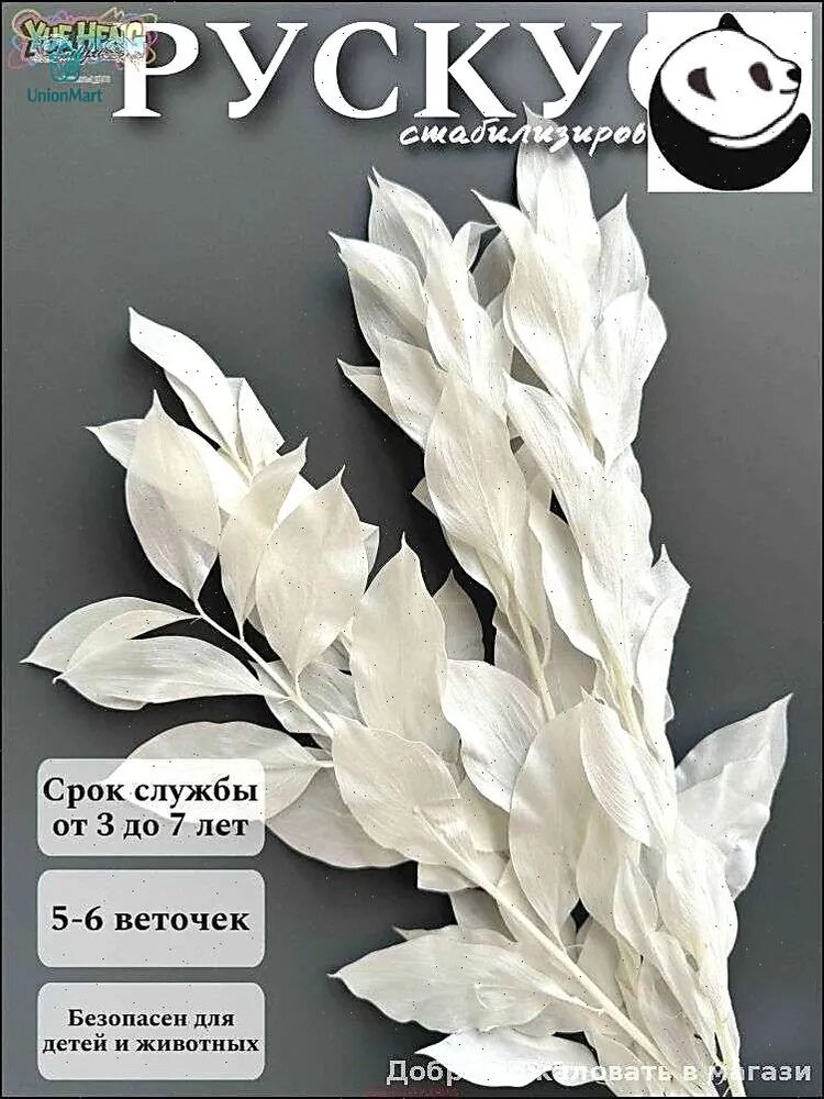 Стабилизированные цветы Рускус, 60 см, 1 шт