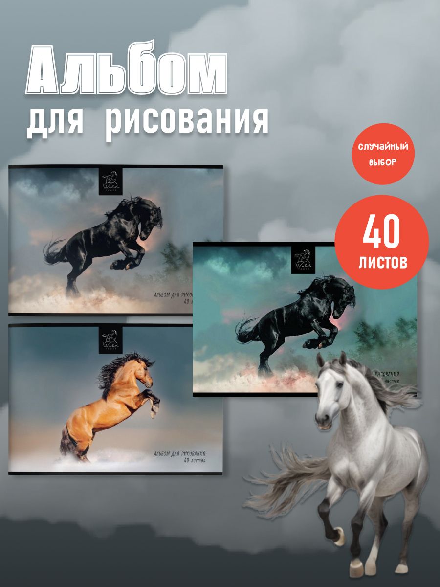 Creativiki Альбом A4 1 шт, листов: 40