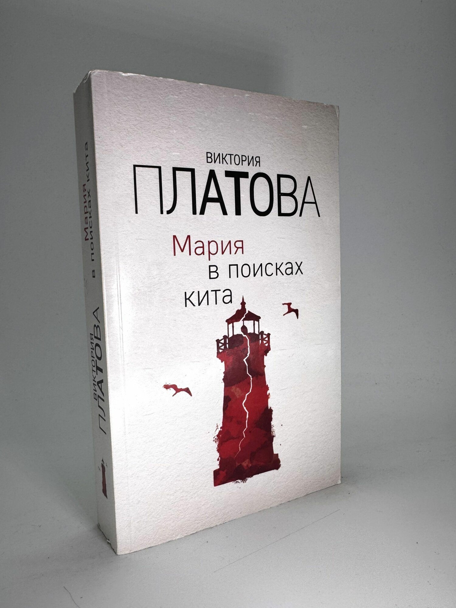 Книга «Мария в поисках кита», Виктория Платова, Твердый переплет