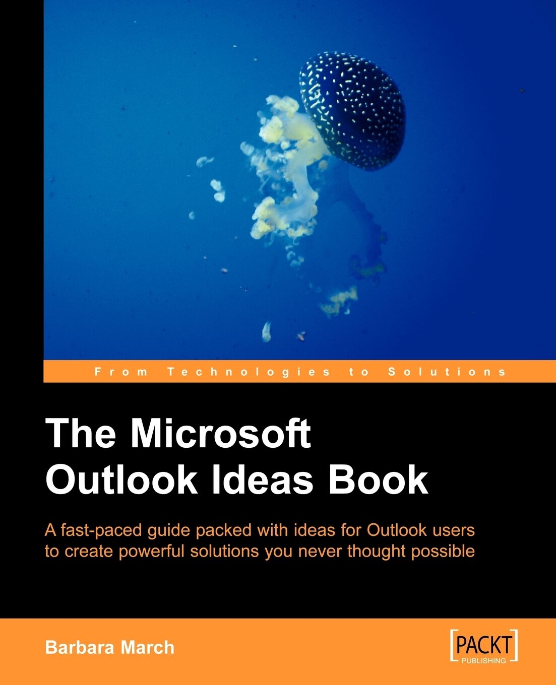 The Microsoft Outlook Ideas Book — фото 1