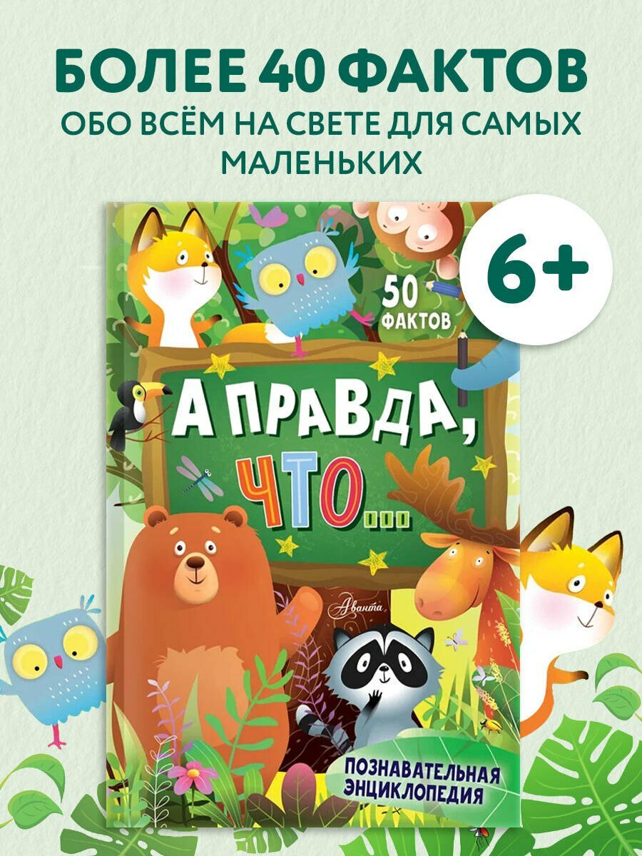 А правда, что. — фото 1