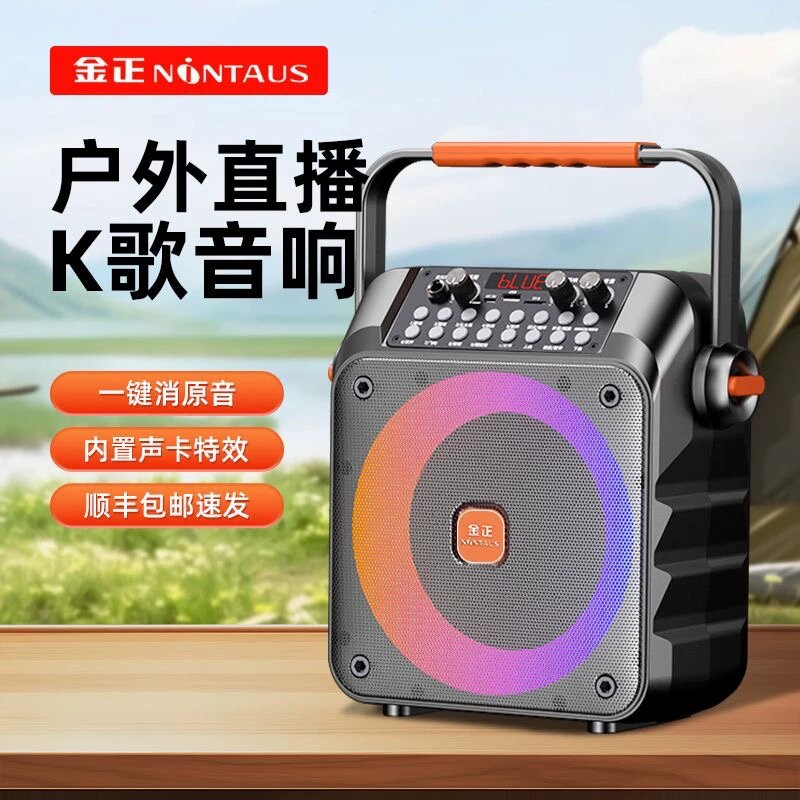 Портативная караоке-колонка Jinzheng для танцев, уличная Bluetooth-колонка со встроенной звуковой картой, портативная,
