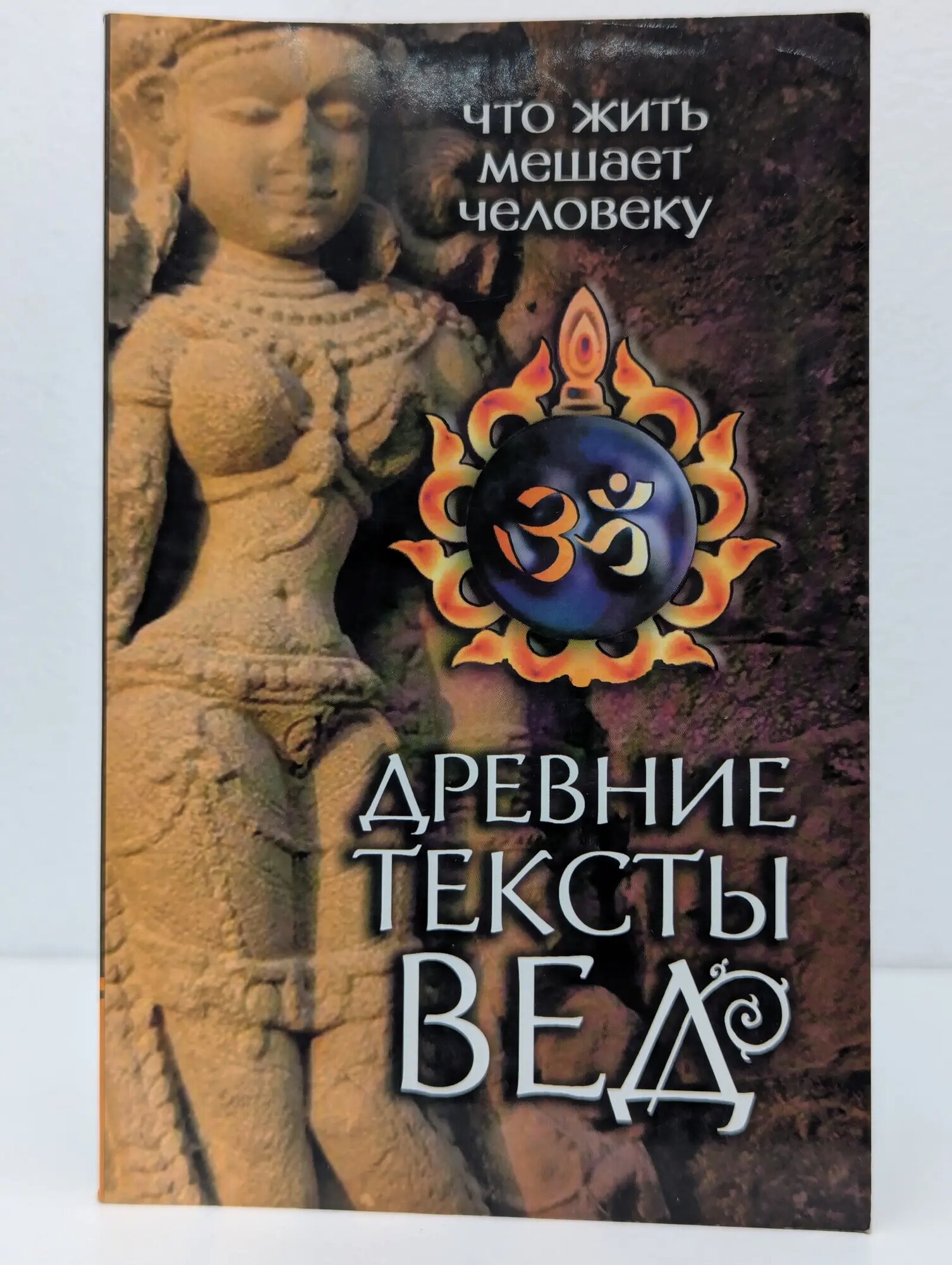 Древние тексты Вед. Что жить мешает человеку Ерченков О. 2013