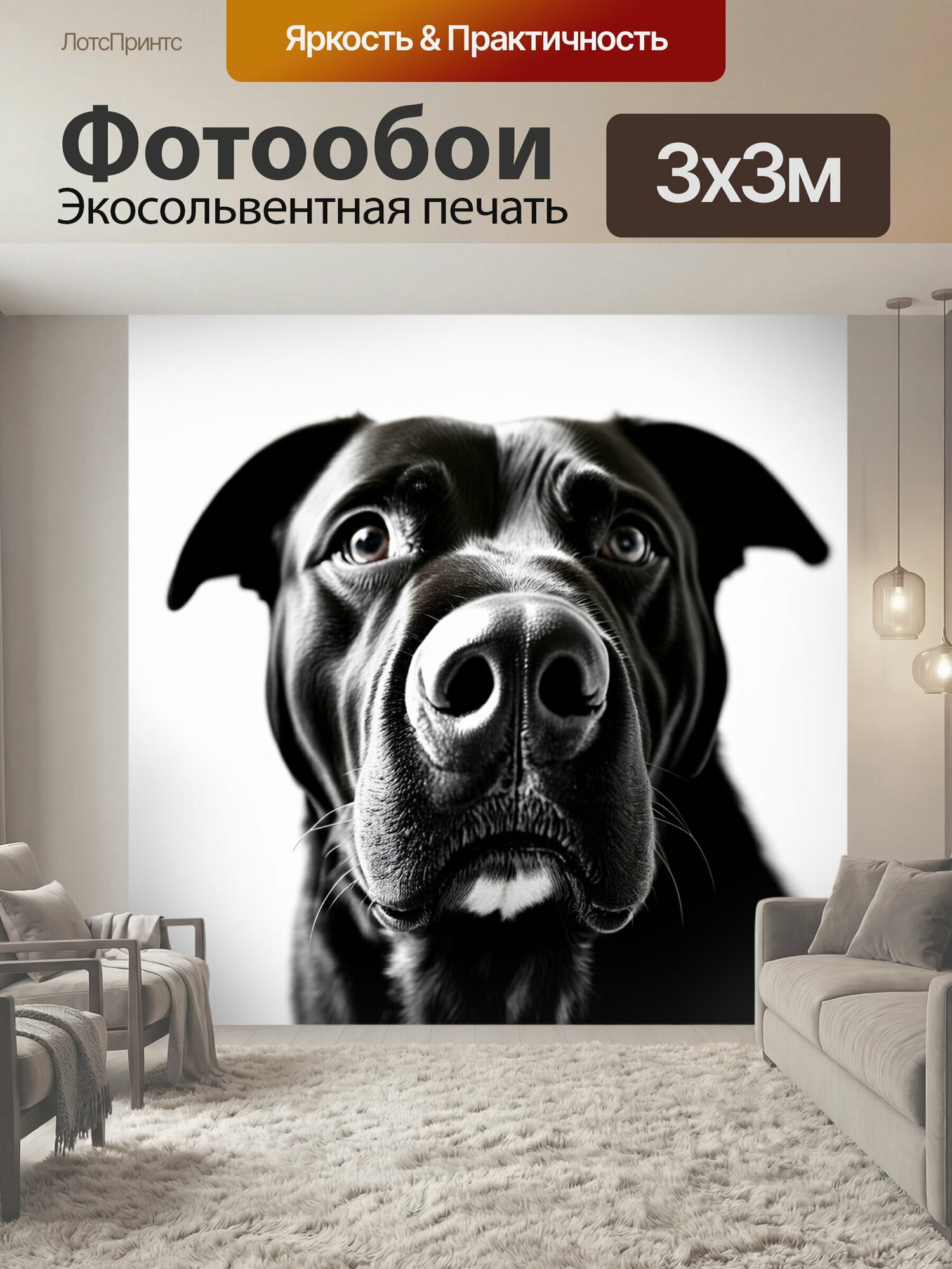 Фотообои "Макросъемка носа черной собаки с четкой текстурой, на фоне белой стены, акцент на детали и выражении, подчеркивающей шерсть и морщины." 300x300 см. экосольвентная печать
