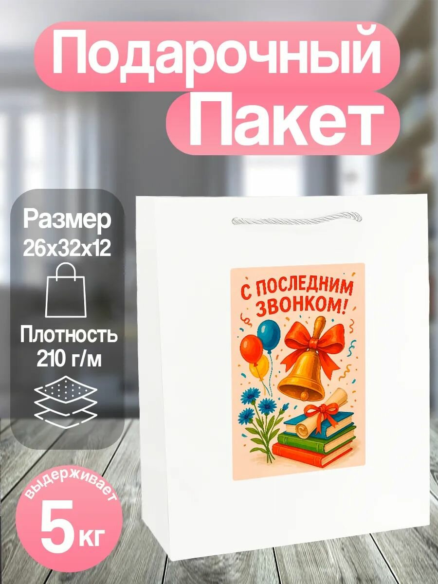 Пакет подарочный Выпускной 2026 11 класс, упаковка для подарка, 26х31 см