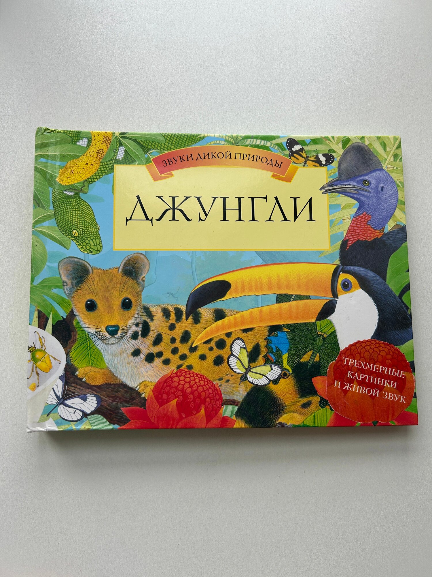 Книга-панорама "Джунгли". Трехмерные картинки и живой звук. Из серии "Звуки дикой природы". Издание 2008 года