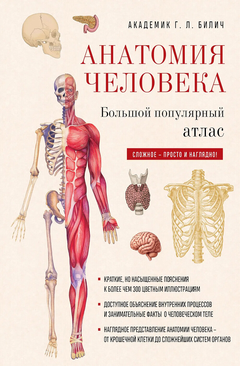 Анатомия человека: большой популярный атлас. Билич Г. Л.