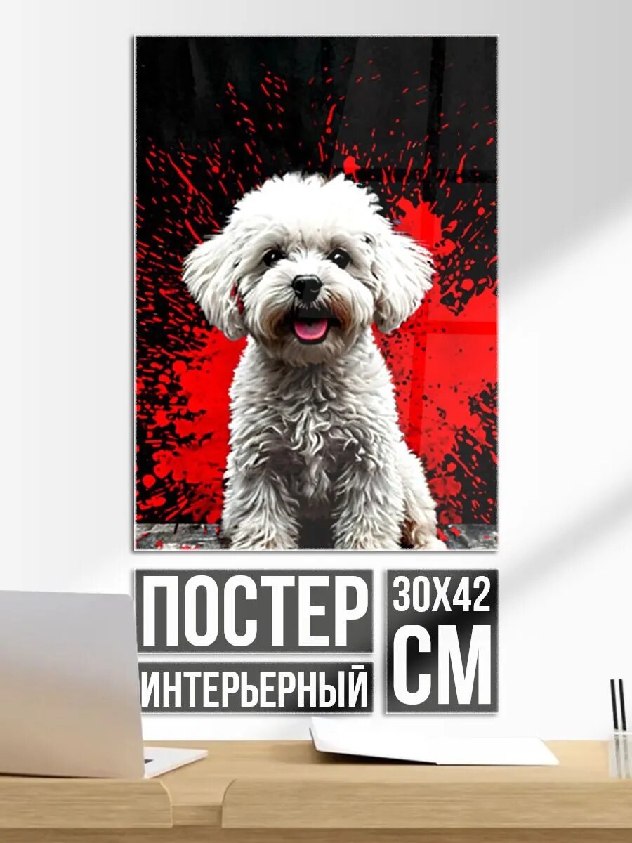 Постер на стену Бишон на черном с красным
