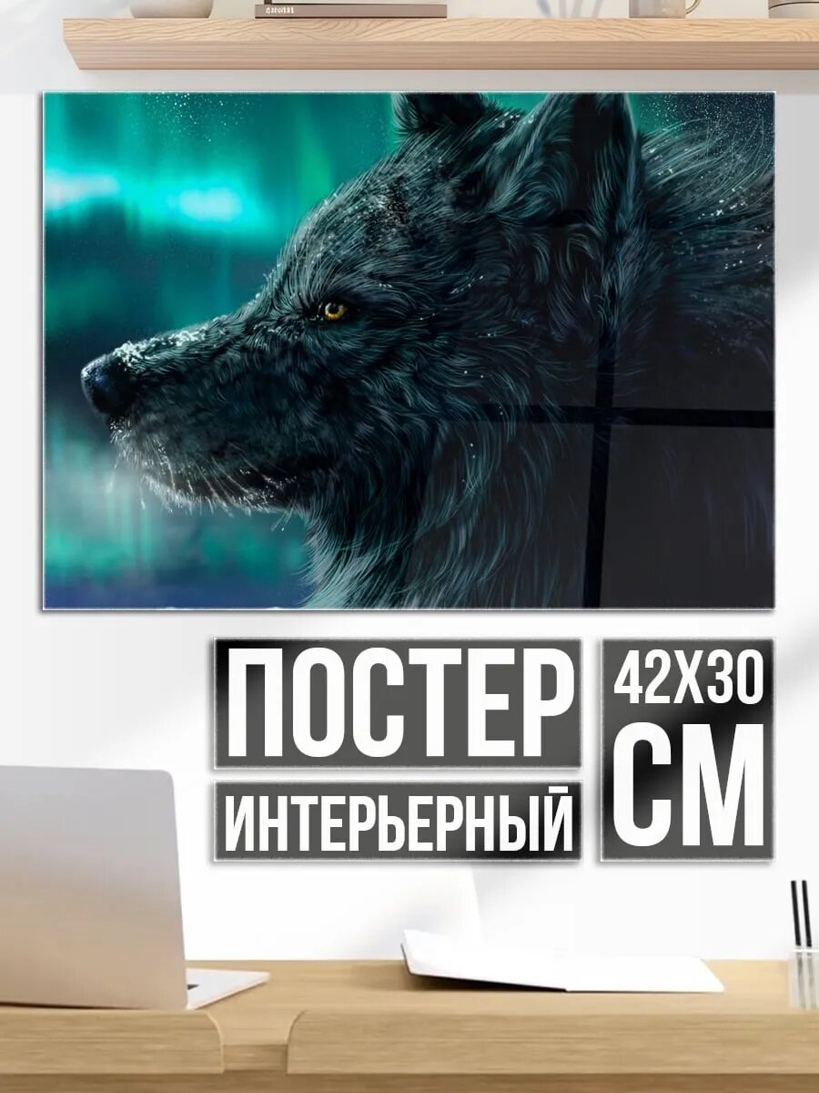 Плакат постер Черный волк
