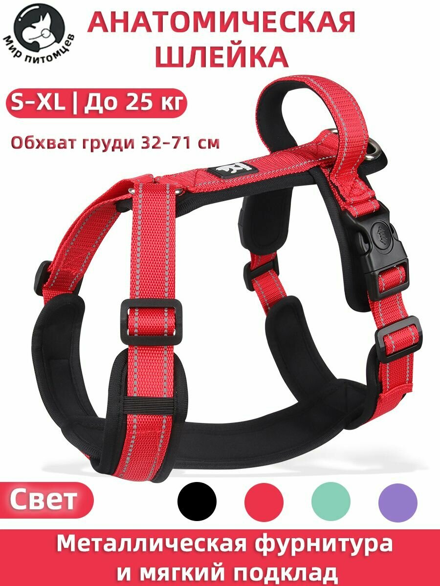 DUOMM Анатомическая двухсоставная шлейка для собак, 4 регулировки, с ручкой, светоотражением и мягкой подкладкой, дышащая, S-XL, до 25 кг, обхват груди 32-71 см светоотражающая шлейка регулируемая шлейка дышащая шлейка для собак до 25 кг