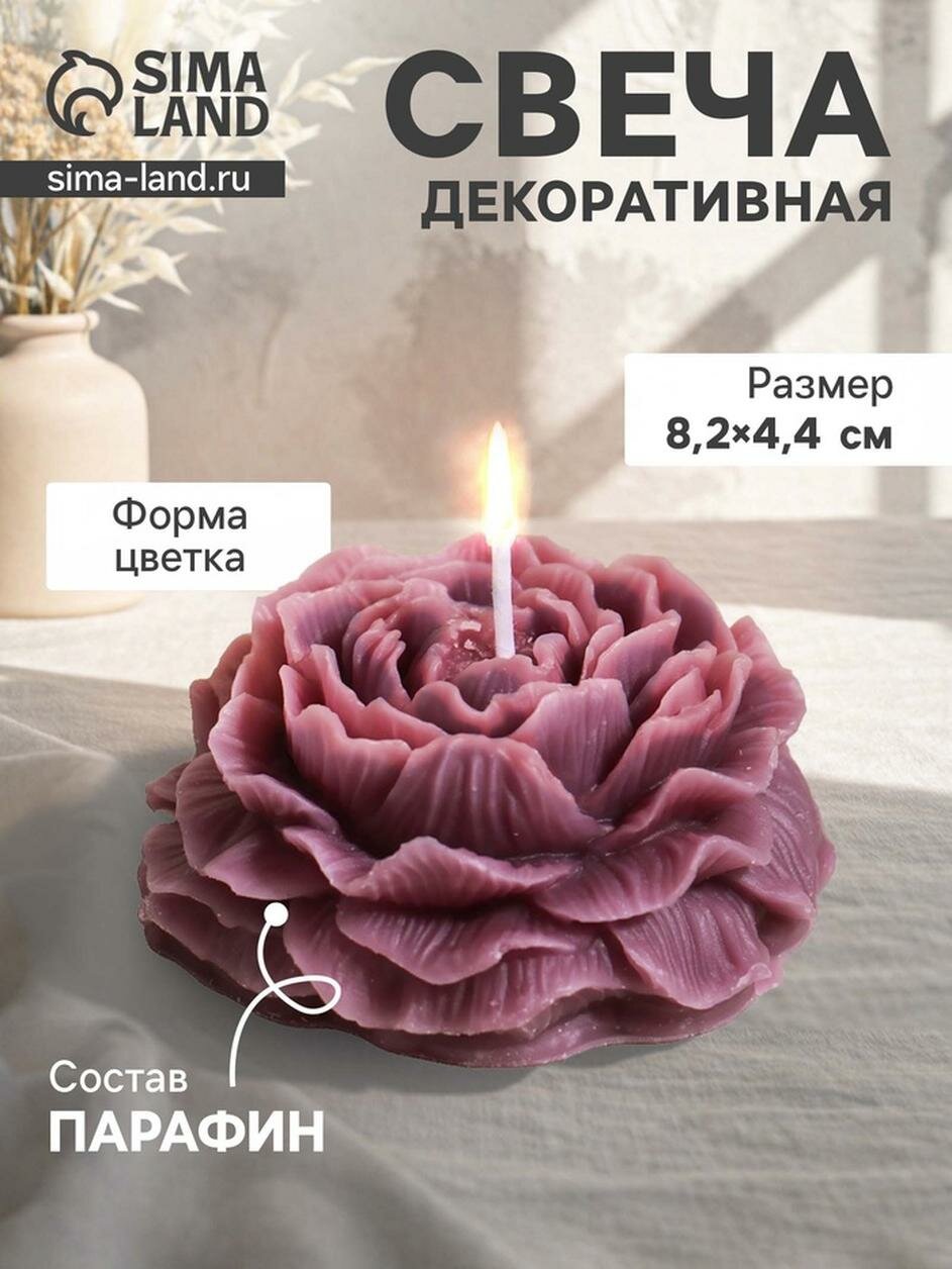 Свеча декоративная «Пион», фиолетовый, d=7.5 см, 8.2×8.2×4.4 см