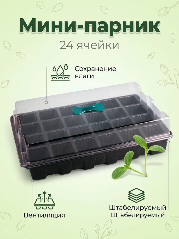 Кассета для рассады