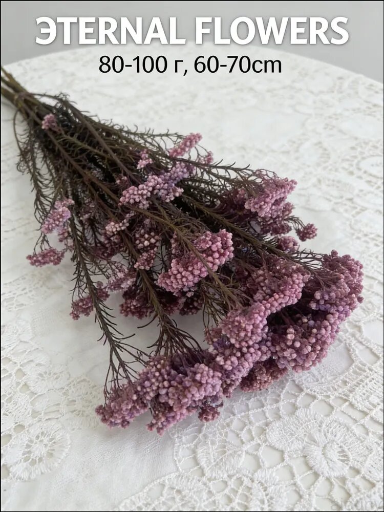 Сухоцветы, 60 см, 90 гр, 1 шт