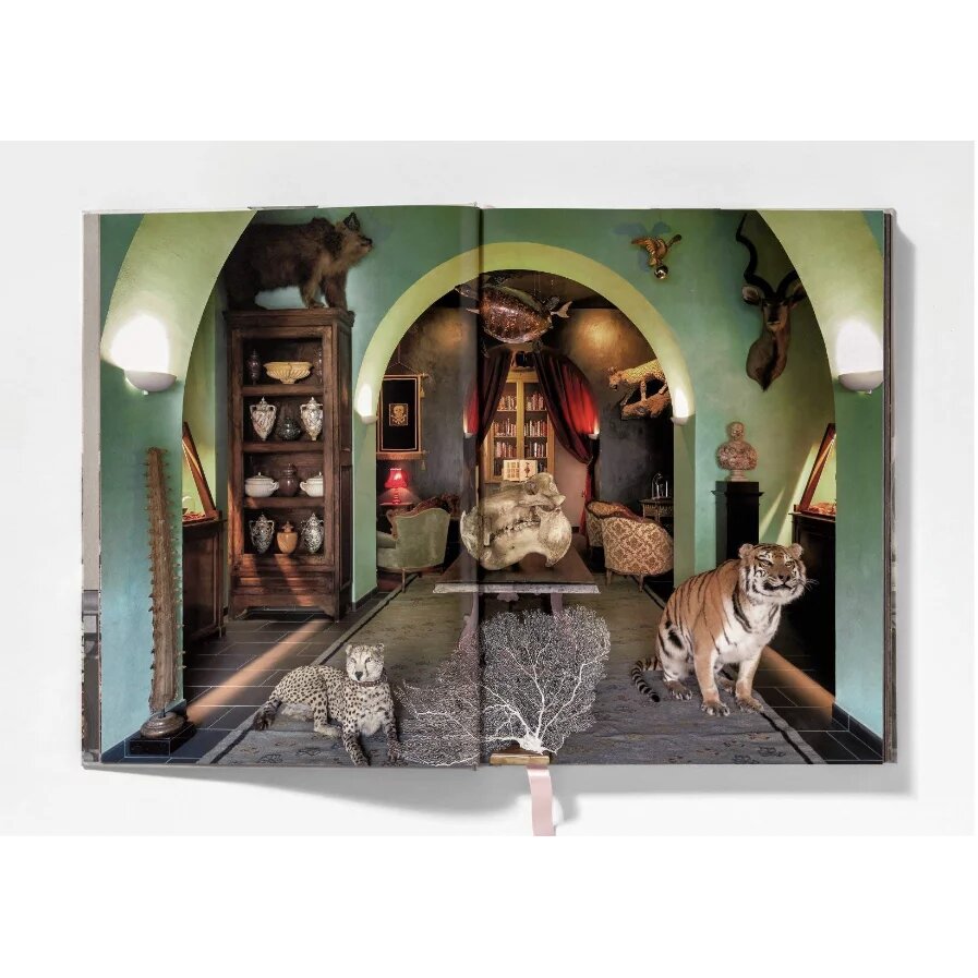 Listri. Cabinet of Curiosities