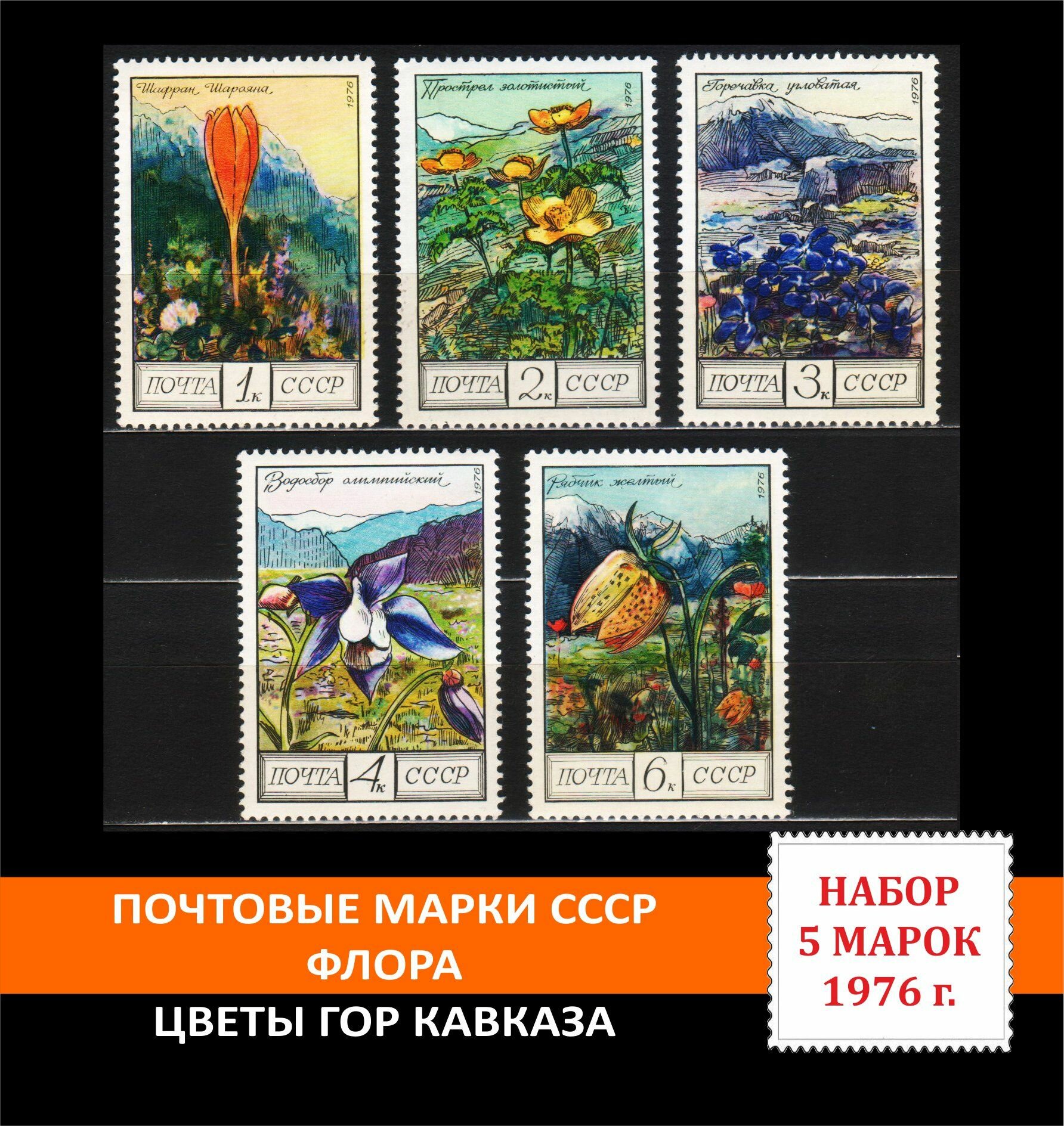 Почтовые марки СССР Флора. Цветы гор Кавказа Набор 5 марок 1976 года выпуска