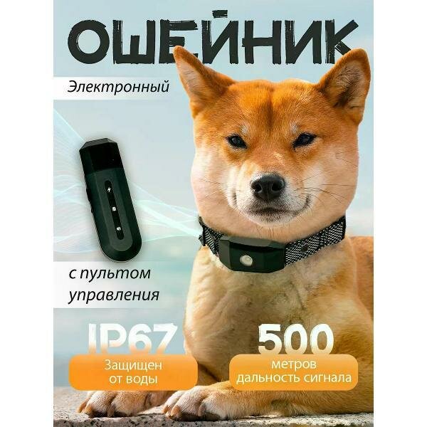 Ошейник SuperPets Электроошейник дрессировочный для собак от лая