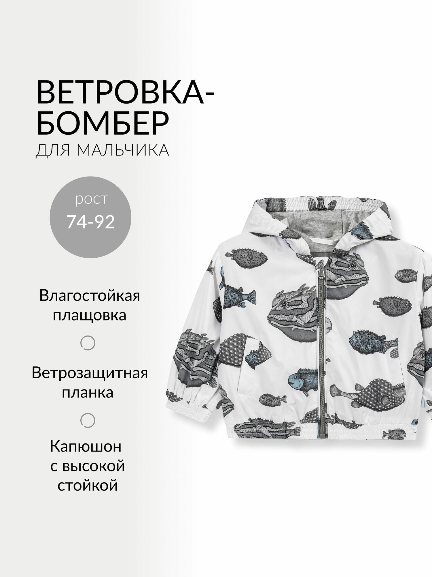 Ветровка