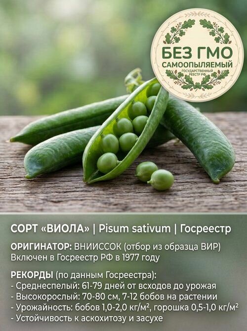 Семена Горох овощной Виола Pisum sativum среднеспелый 70-80 см Госреестр 1977 10 г.