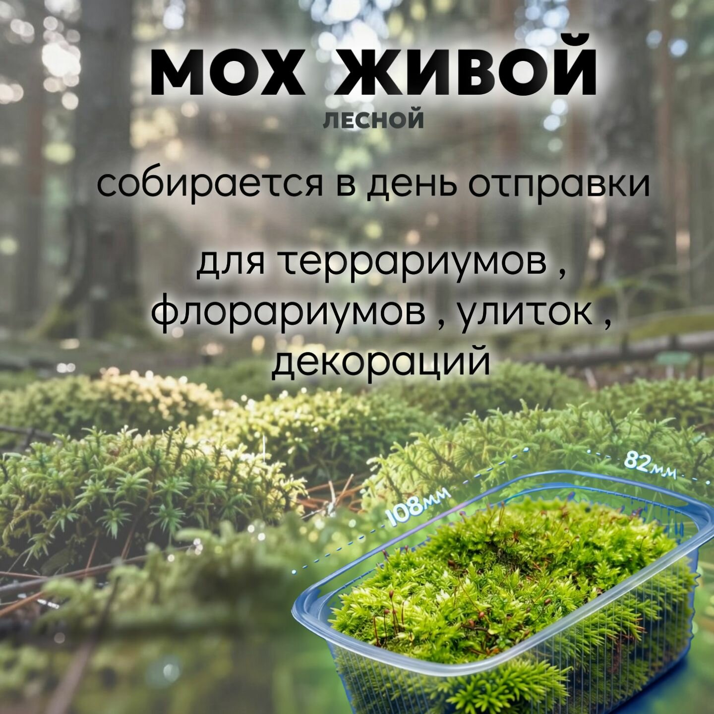 Живой мох