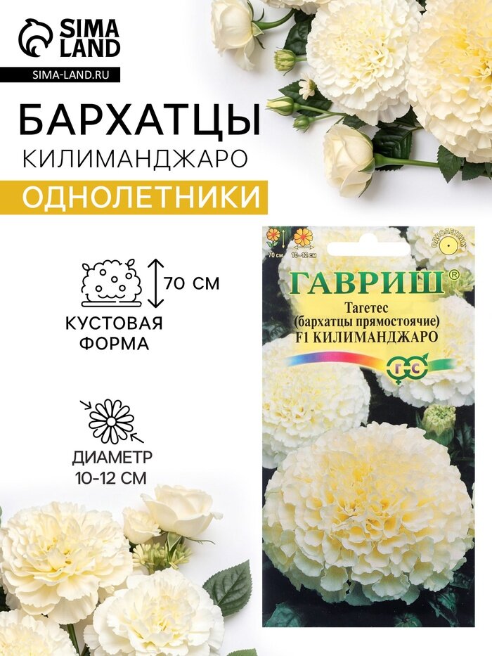 Семена цветов Тагетес, бархатцы прямые «Килиманджаро», F1, 0.05 г, «Гавриш»