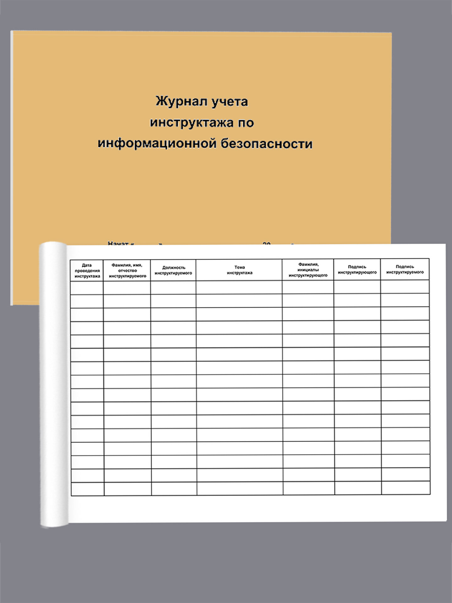 Книга учета A4, 1 шт, листов: 30