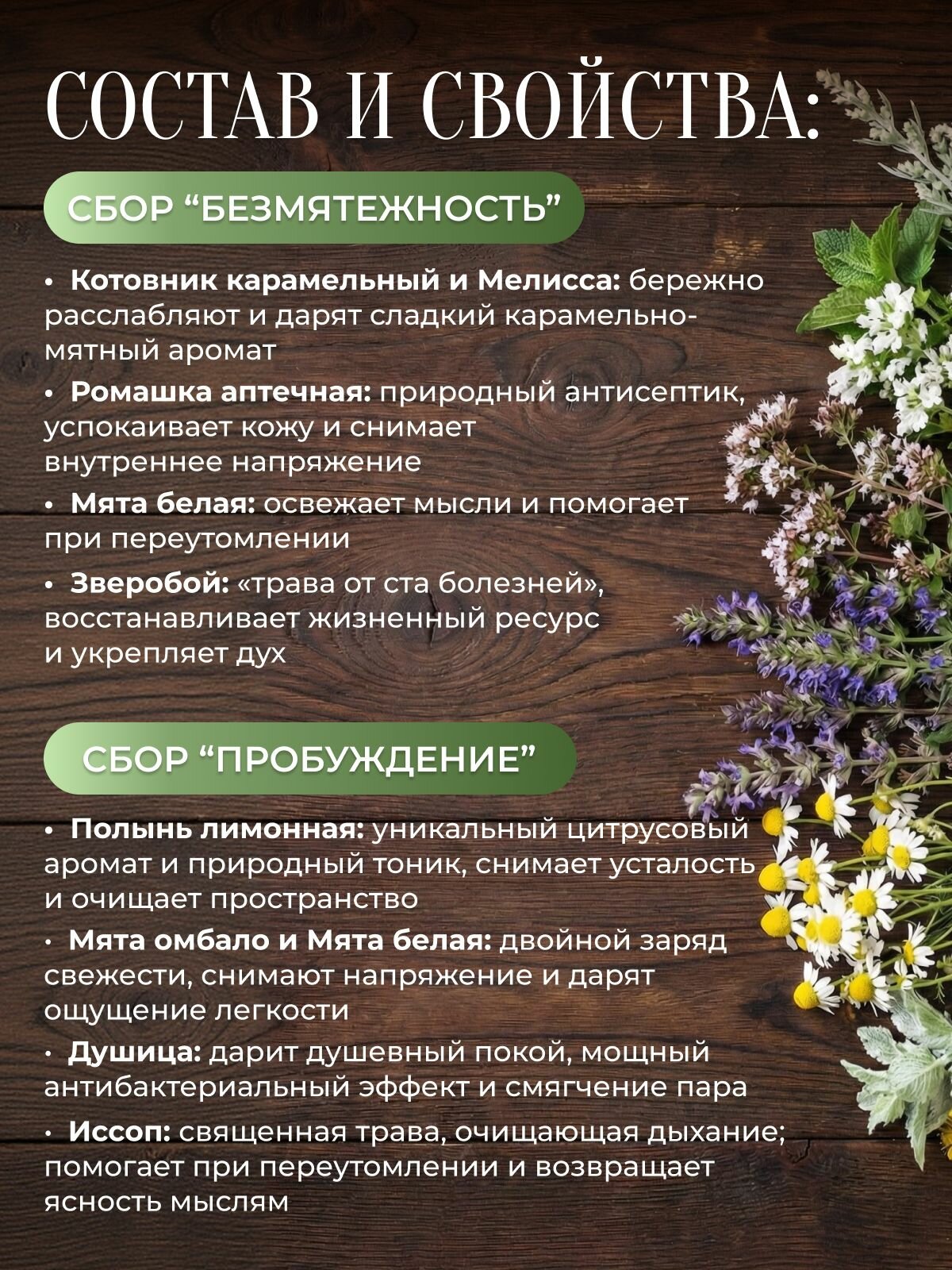 Запарка для бани — фото 1