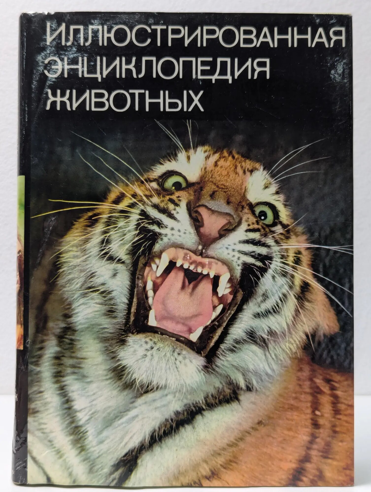 Иллюстрированная энциклопедия животных Станек Вацлав Я. 1972