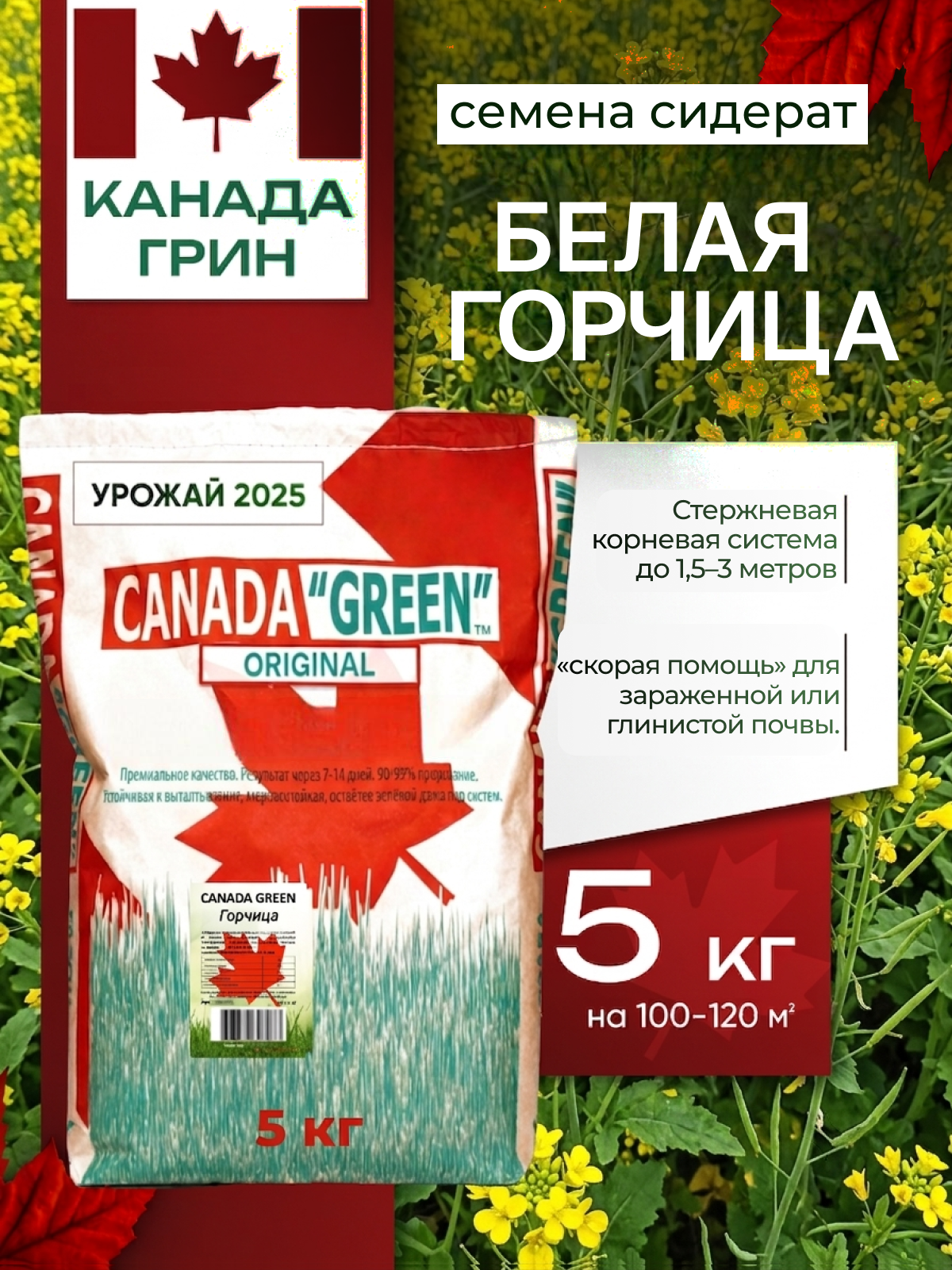 Горчица белая Canada Green 5 кг