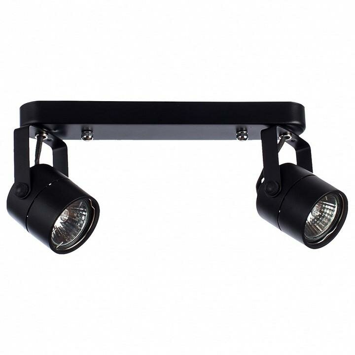 Потолочный светильник Arte Lamp M1zar A1311PL-2BK цвет плафона подвески Черный, цвет арматуры Черный