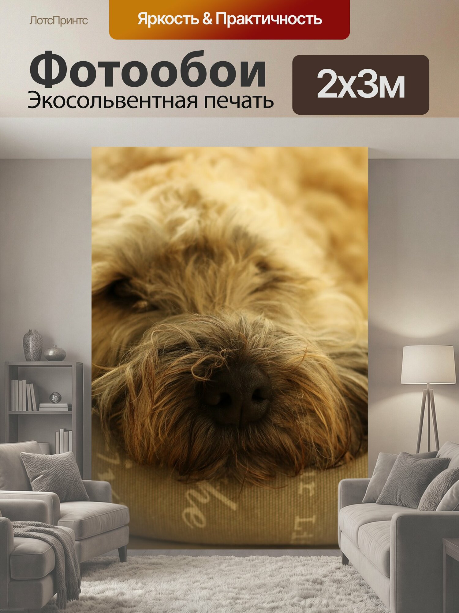 Фотообои "Собака, терьер, пшеничный" 200x300 см. экосольвентная печать