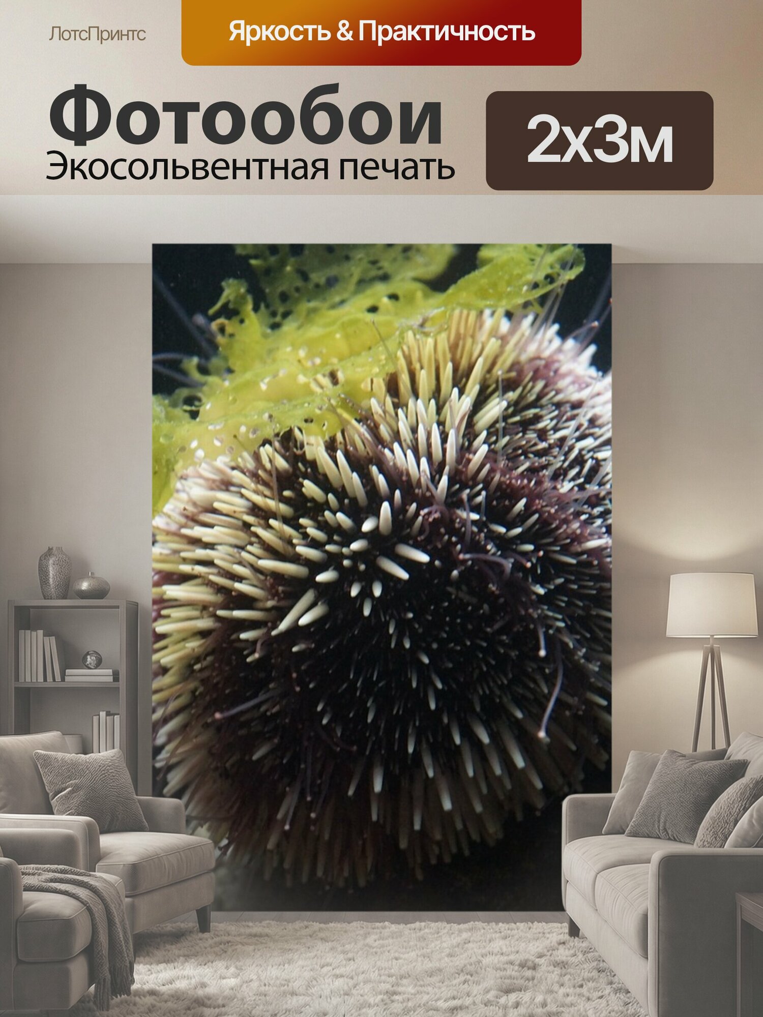 Фотообои "Морской ёж, морской ежик, океан" 200x300 см. экосольвентная печать