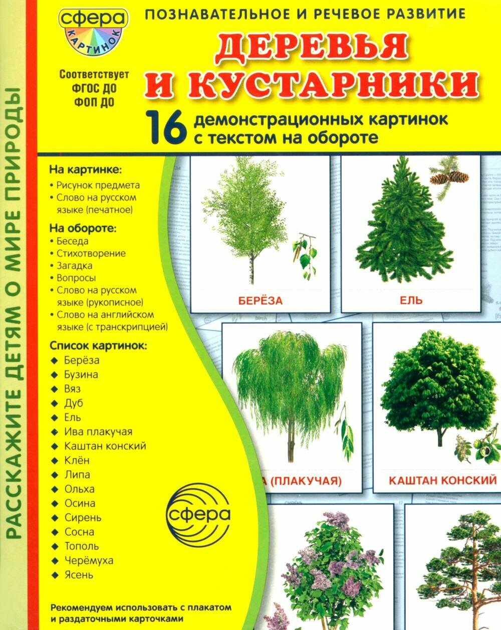 Деревья и кустарники. 16 демонстрационных картинок с текстом на обороте, Творческий центр Сфера 2025